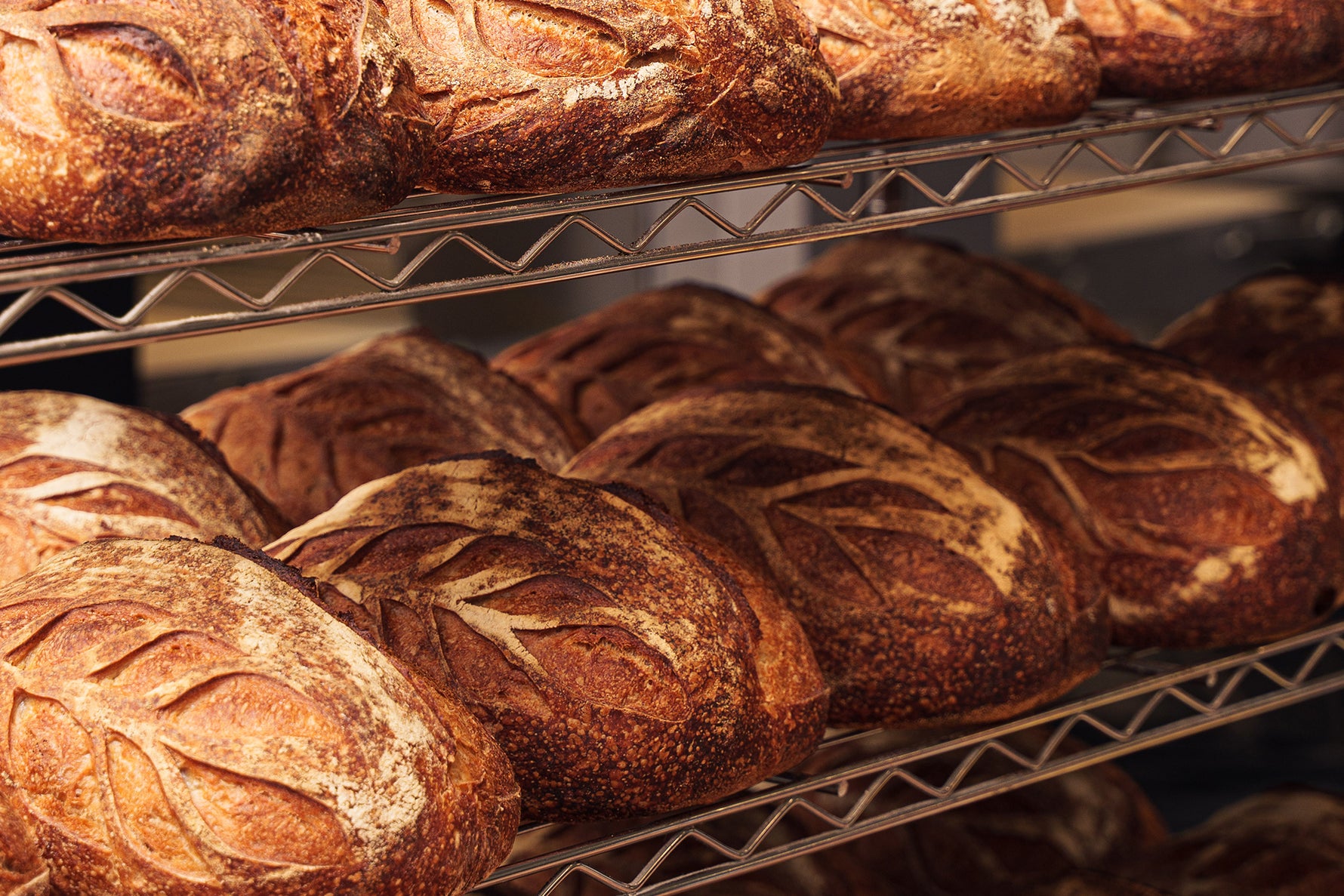 Contact – Imma The Bakery